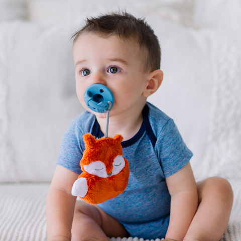 Itzy Ritzy Alex The Fox Sweetie Pal Paci & Stuffed Animal – Jonah Brown ...